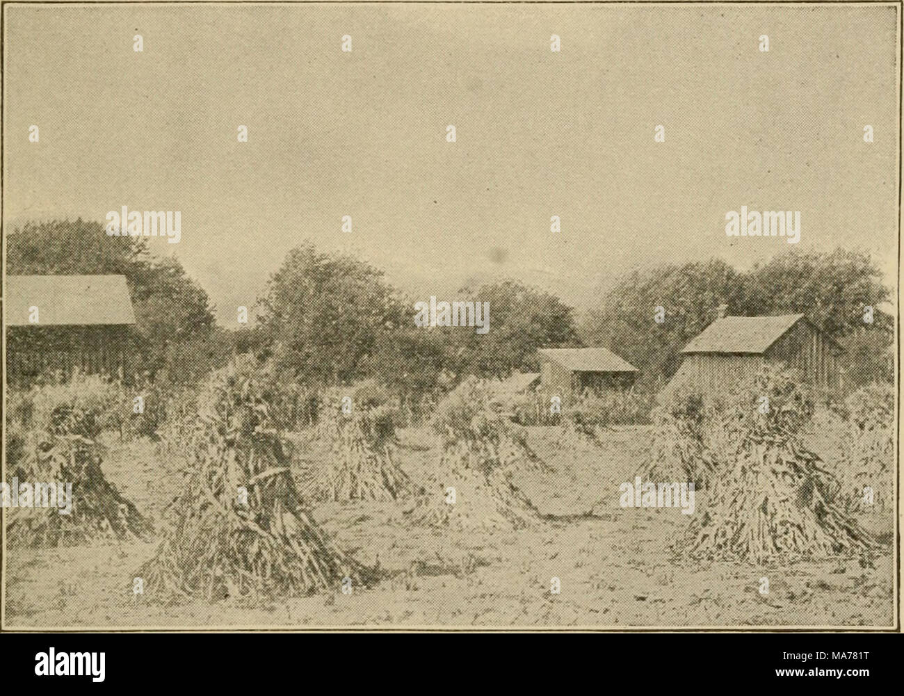 . Elementary agriculture with practical arithmetic . A WELL CULTIVATED ...