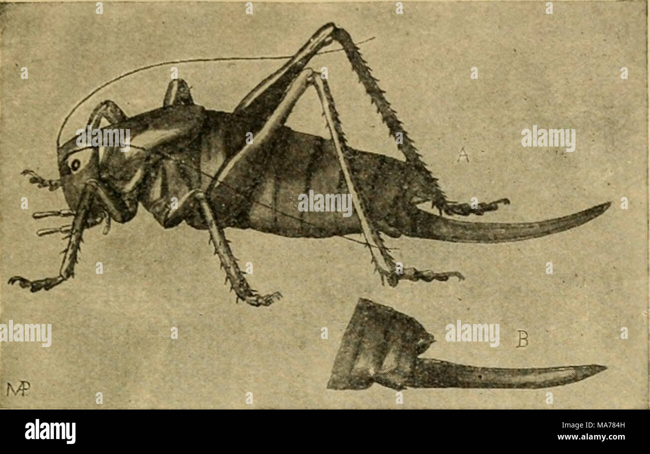 106 inches hi-res stock photography and images - Alamy