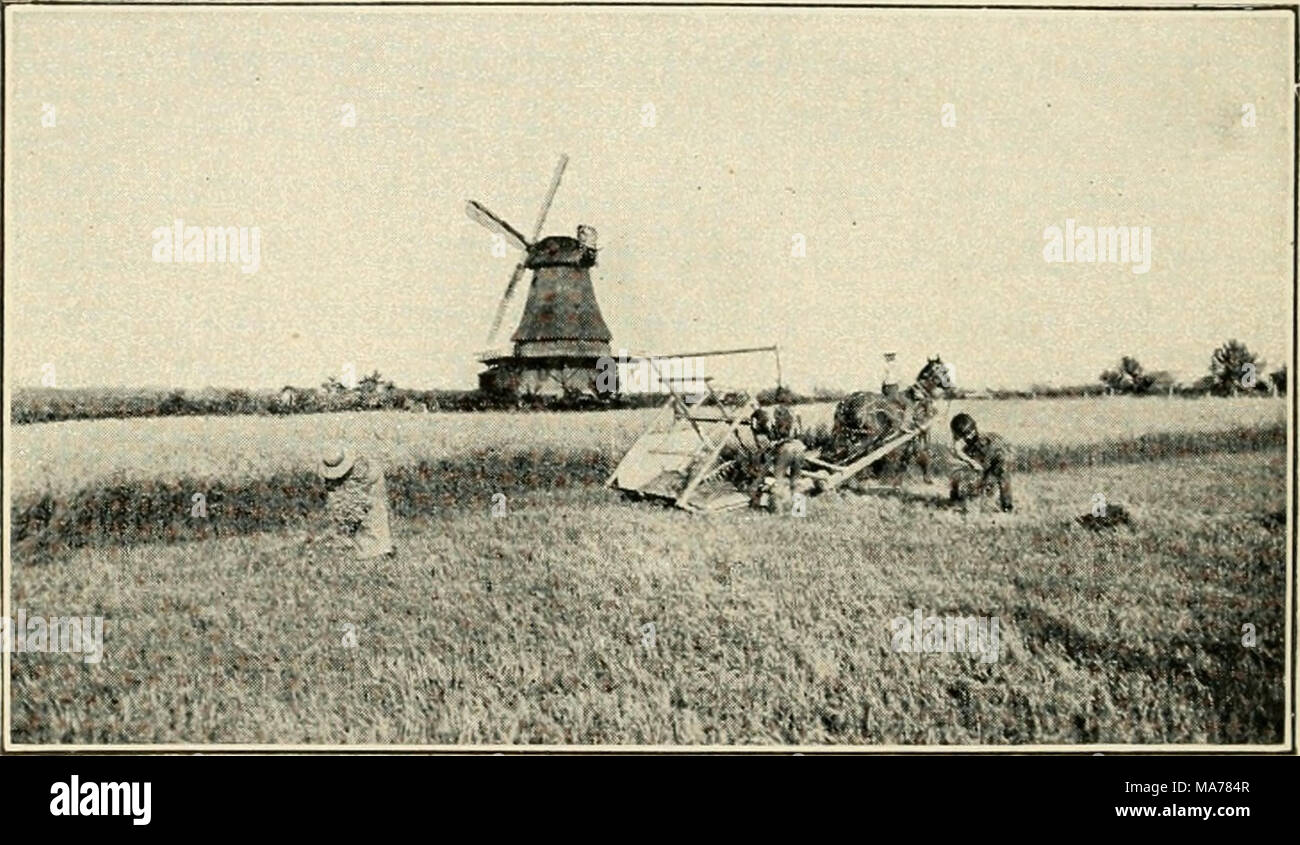 . Elementary agriculture . Fig. 73. The first reaper. much hard work to ...