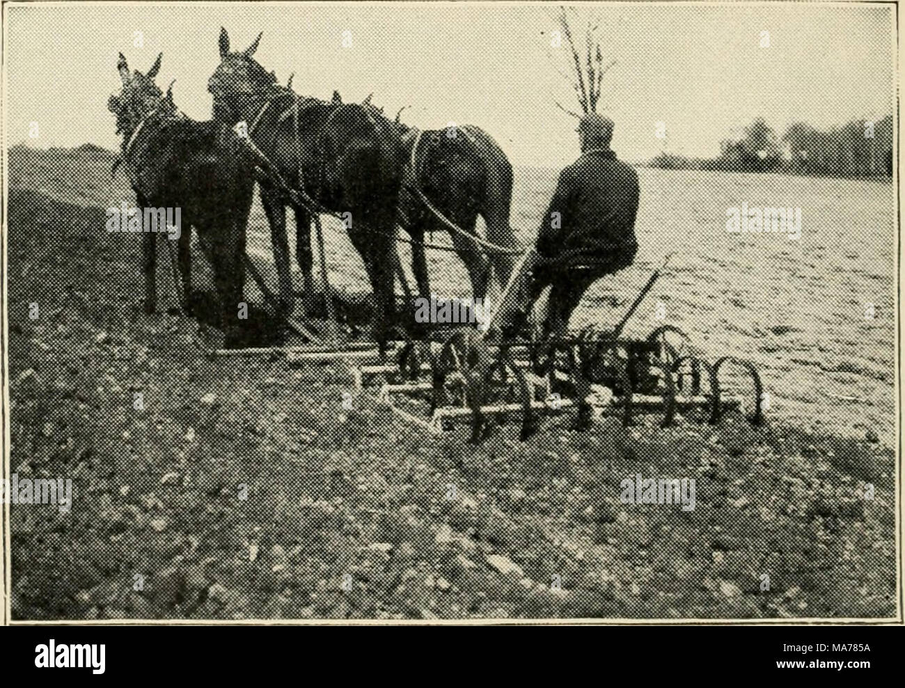 . Elementary agriculture . Fig. 6G. Si>ri)ip-too1h harrow Stock Photo ...