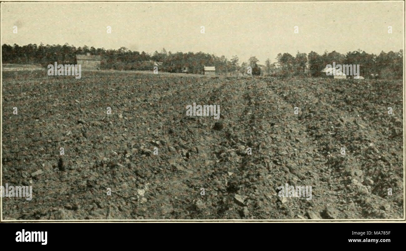 . Elementary agriculture . Courtesy U. S. Dept. of Agriculture Fig. 55a ...