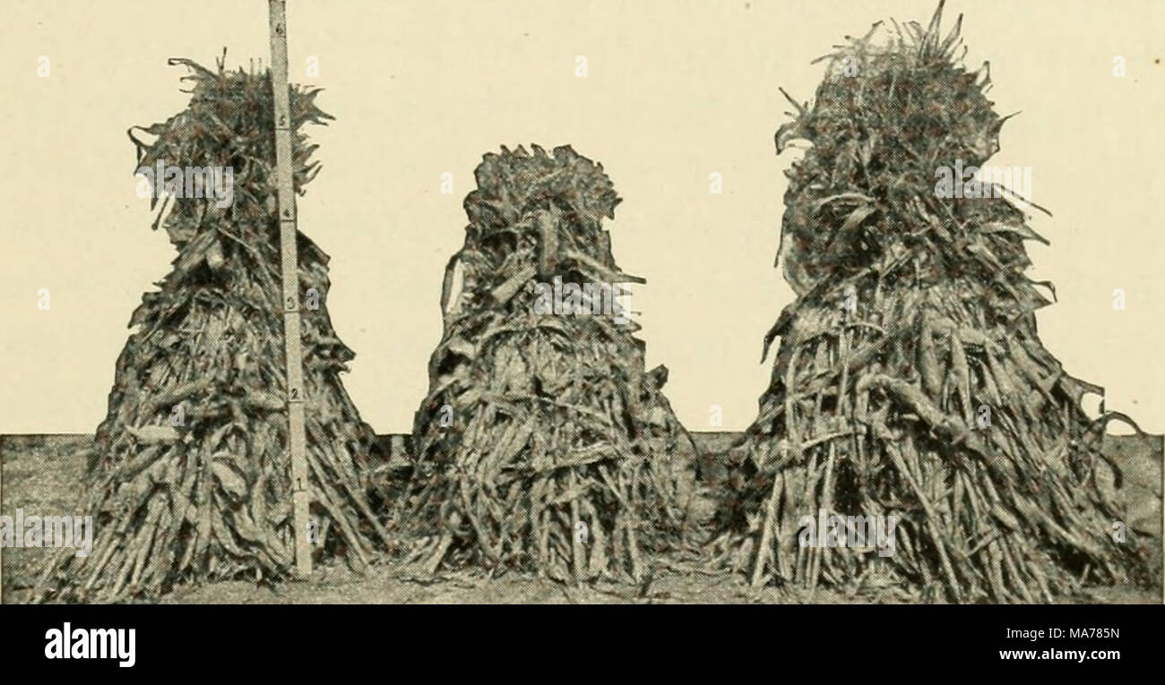 . Elementary agriculture . Courtesy of Agricultural Experiment Station ...