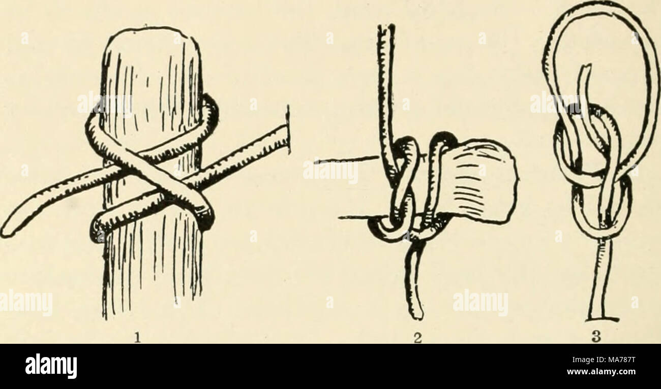 . Elementary agriculture . 1. Clove hitch. 2. Picket rope with a half ...
