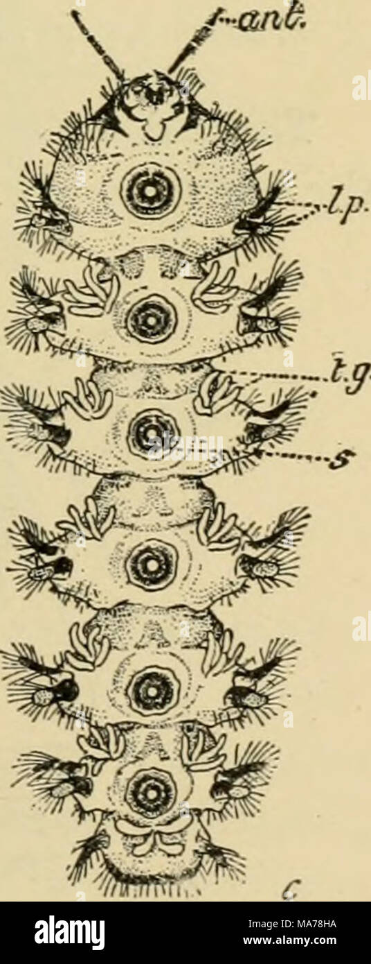 225 b c a d hi-res stock photography and images - Alamy