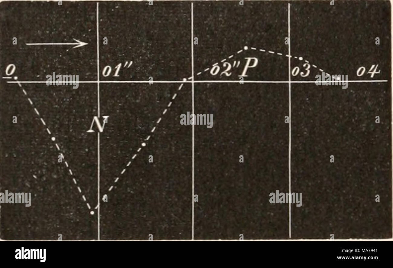 . Elektrophysiologie . Fig. 126. Doppelsinnige Schwankung am Ventrikel ...