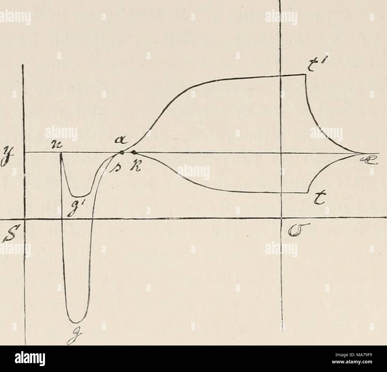 . Electro-physiology . FIG. 211. processes appear to begin ...