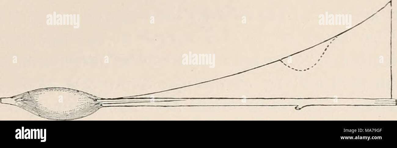 Distal section hi-res stock photography and images - Alamy