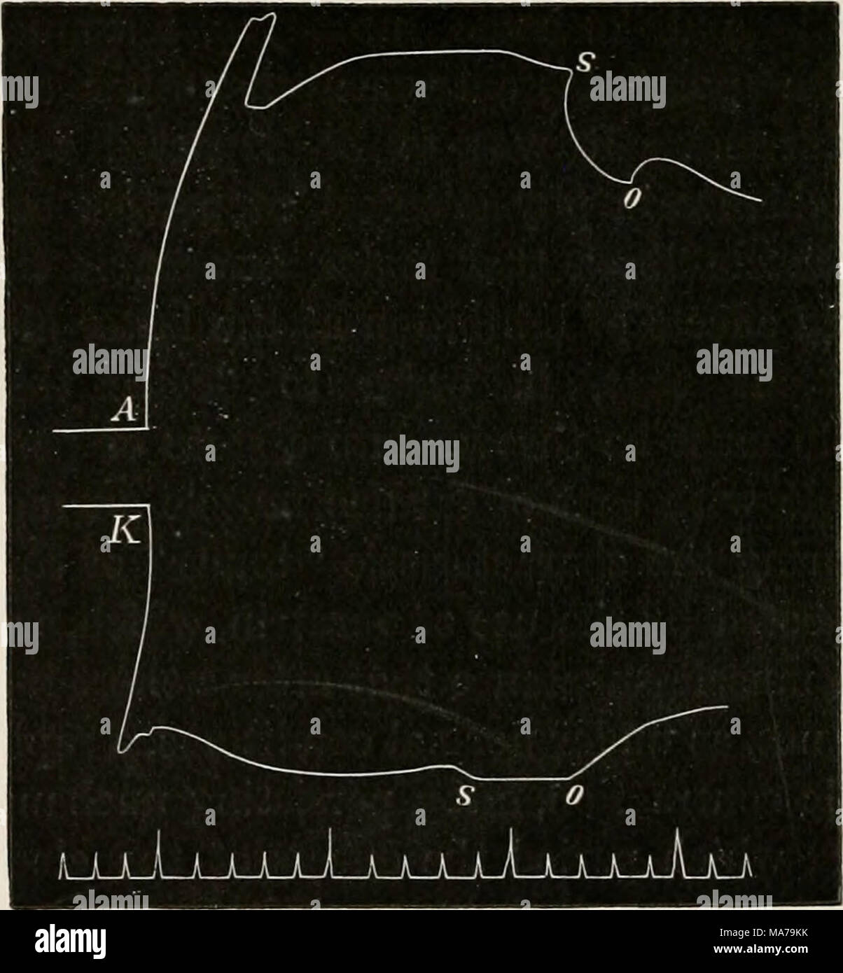 . Electro-physiology . Fio. 93.—Sartorius fixed in the middle (double ...
