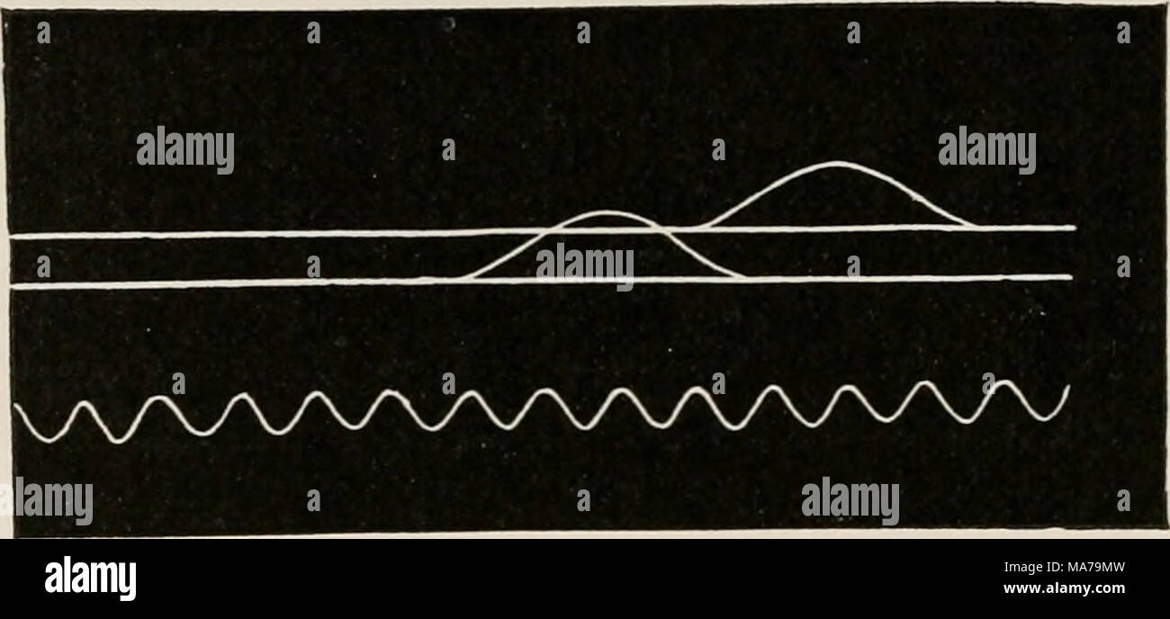 . Electro-physiology . Fir,. GG.--Velocity of contraction wave in ...