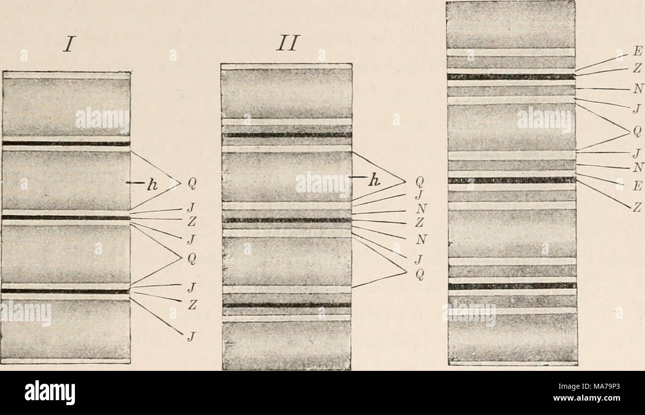 Transverse rows hi-res stock photography and images - Alamy