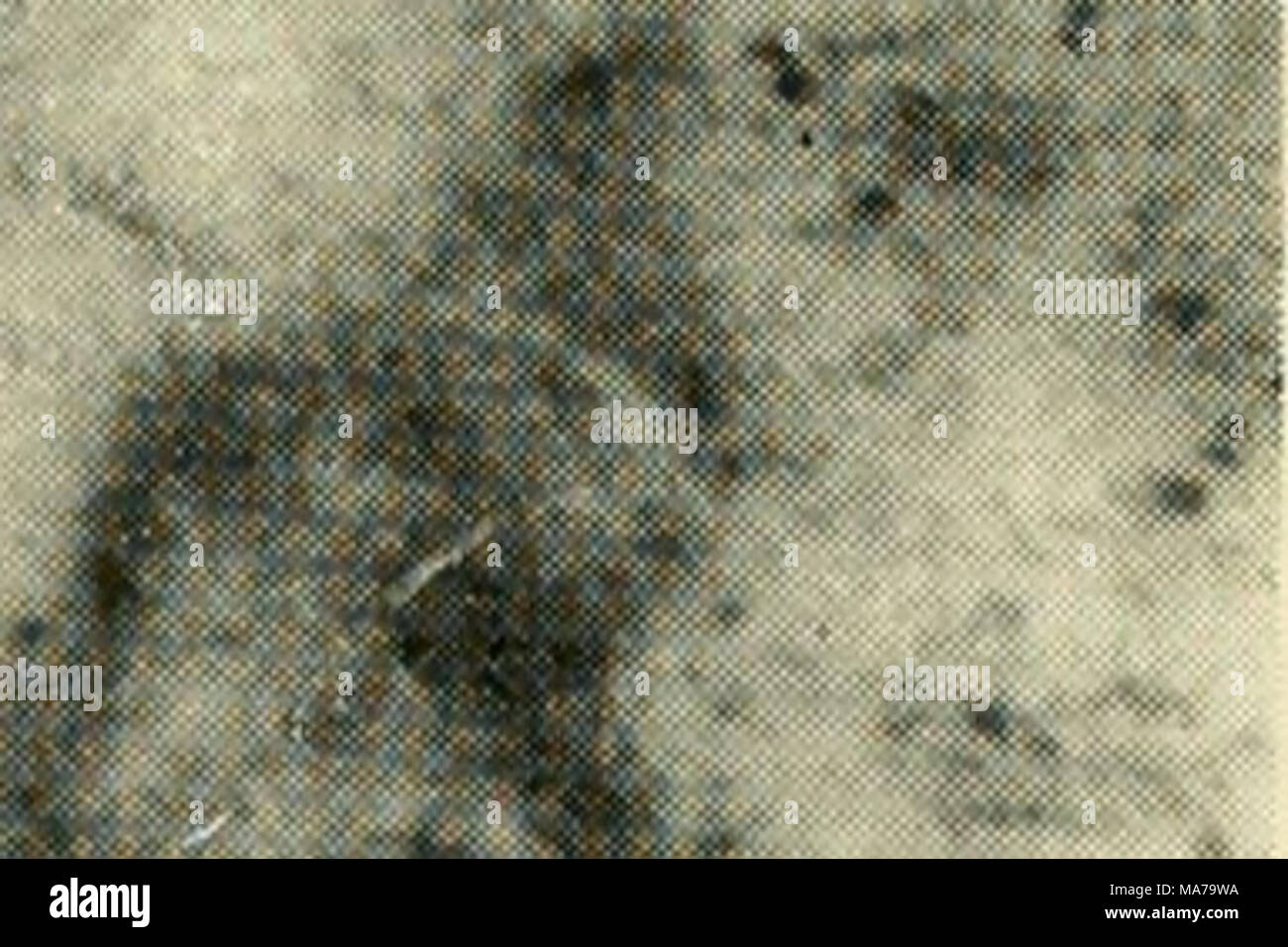 . Electron-microscopic structure of protozoa . m ?* **%«* Stock Photo ...