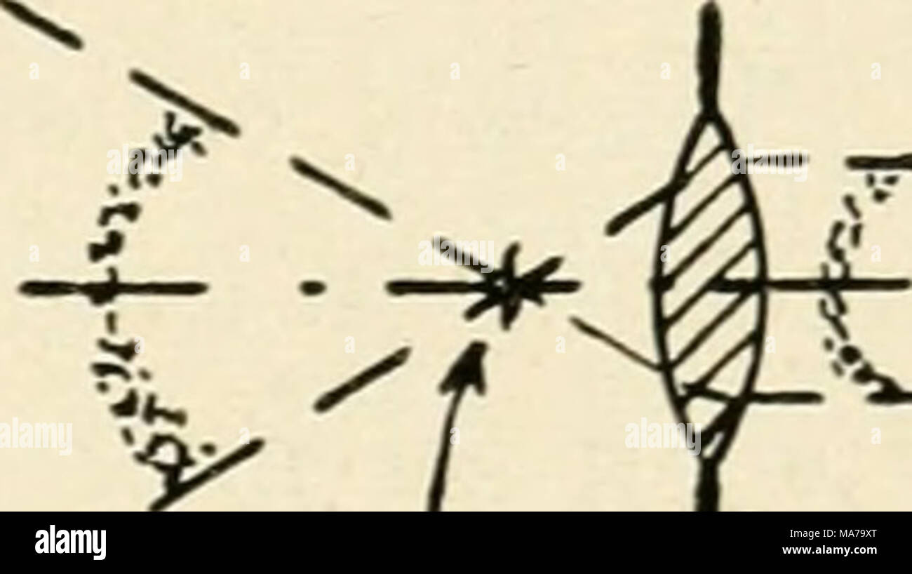 The electron microscope, its development, present performance and ...