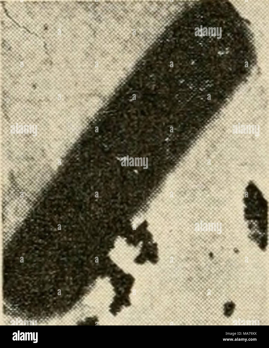 . The electron microscope, its development, present performance and ...