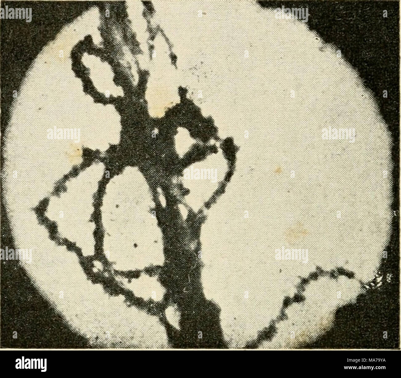 The electron microscope, its development, present performance and ...