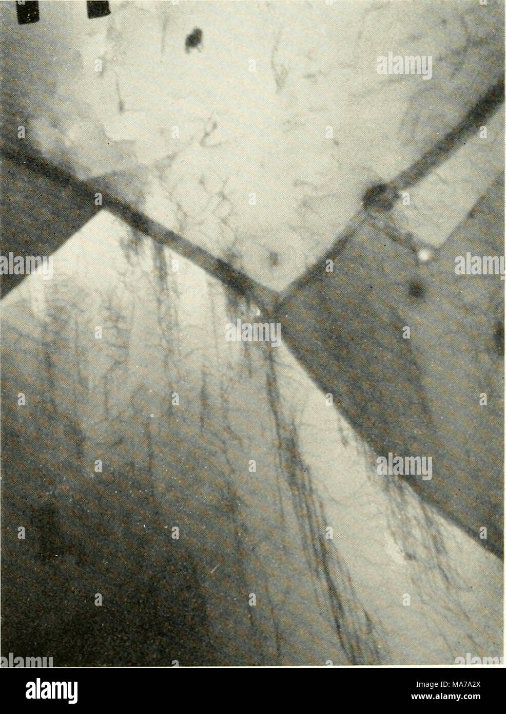 . Electron microscopy; proceedings of the Stockholm Conference ...