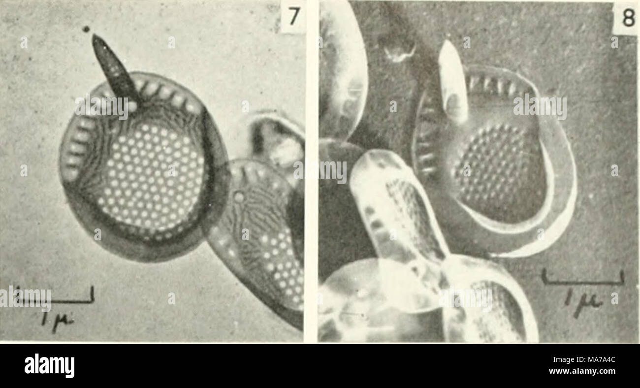 . Electron microscopy; proceedings of the Stockholm Conference ...