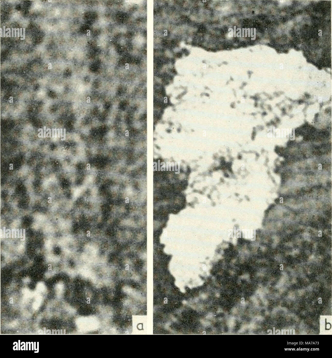 . Electron microscopy; proceedings of the Stockholm Conference ...