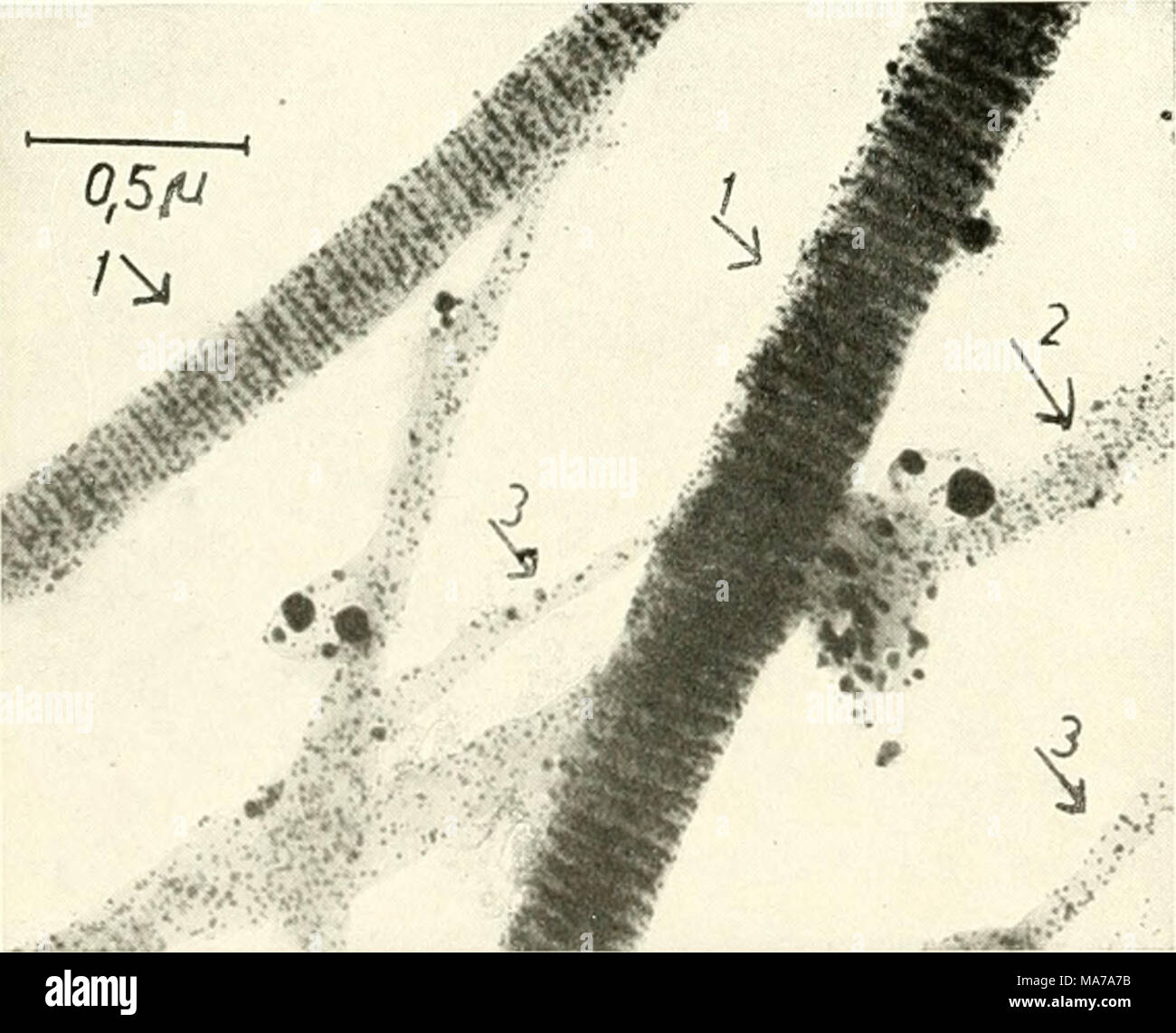 Drei pfeil hi-res stock photography and images - Alamy