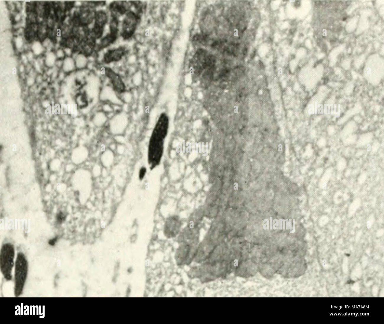 . Electron microscopy; proceedings of the Stockholm Conference ...