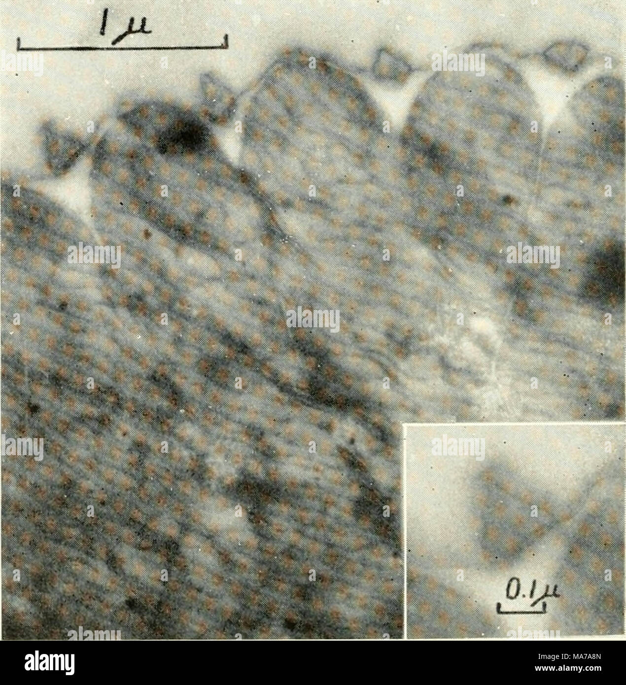 . Electron microscopy; proceedings of the Stockholm Conference ...