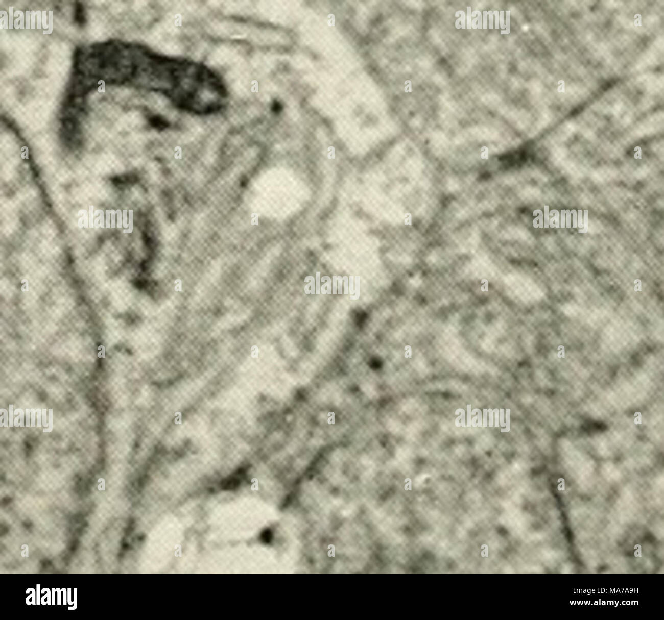 . Electron microscopy; proceedings of the Stockholm Conference ...