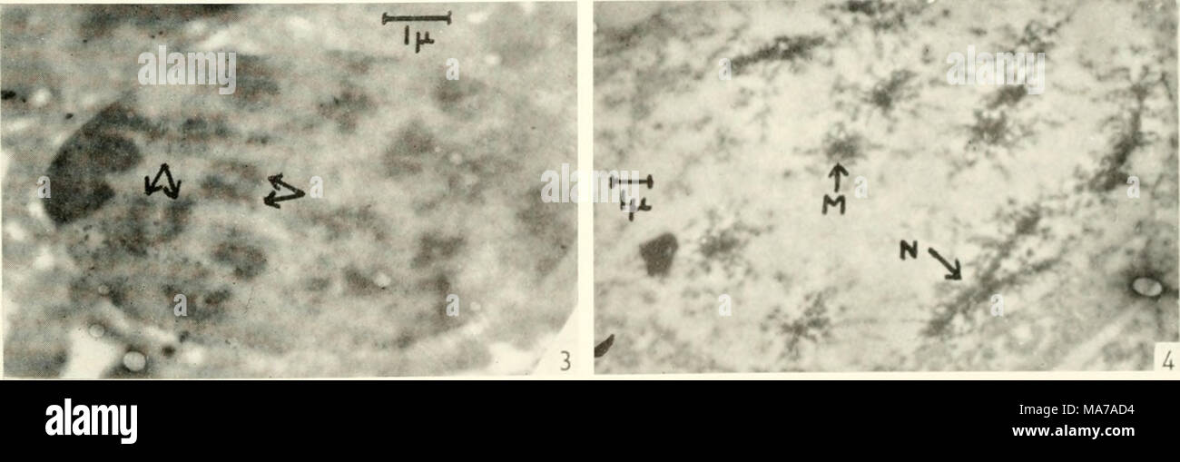 . Electron microscopy; proceedings of the Stockholm Conference ...