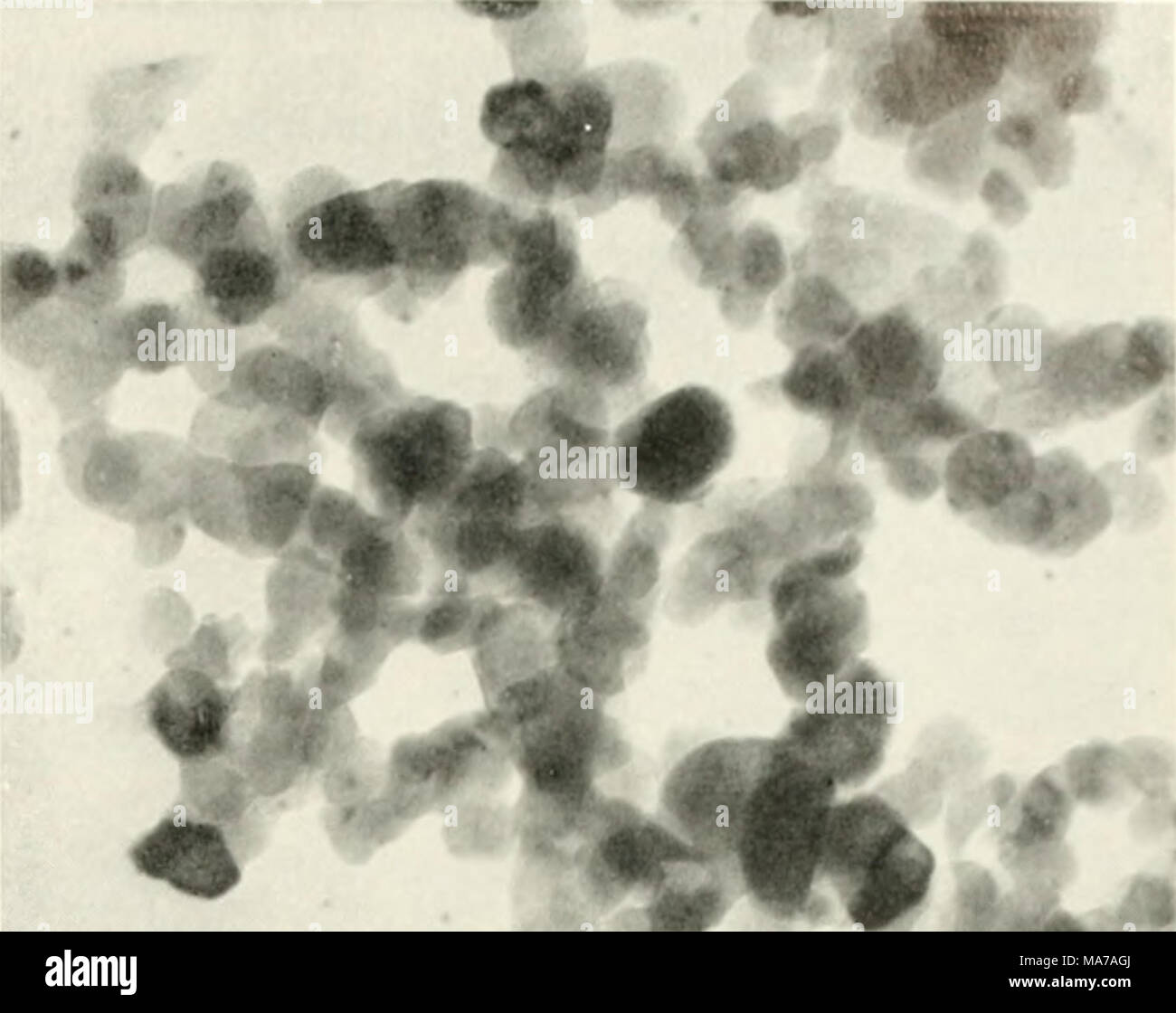 Sio2 microscope hi-res stock photography and images - Alamy