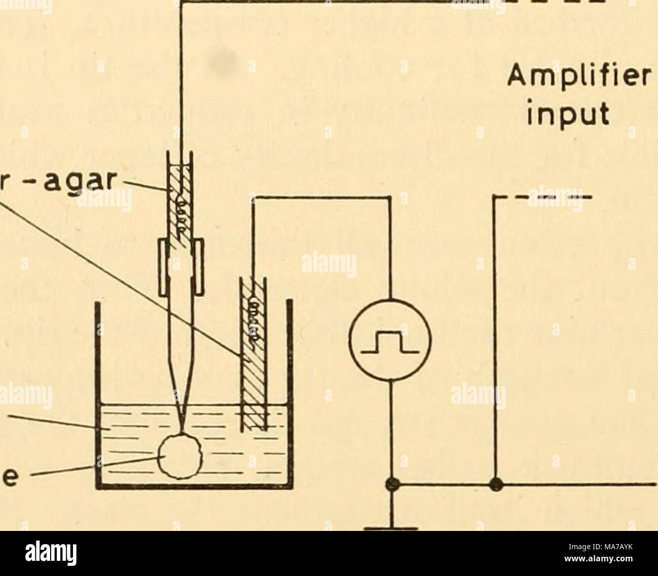 Silver chloride (ag agcl) electrode hi-res stock photography and images ...