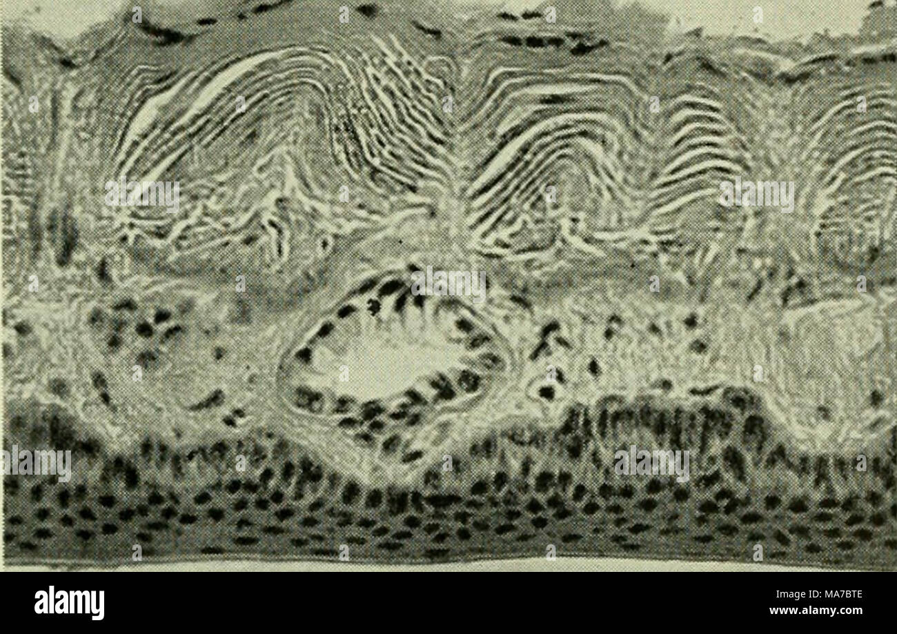 Submicroscopic hi-res stock photography and images - Alamy