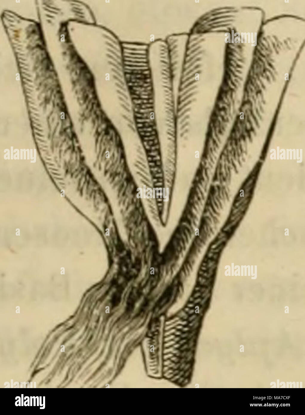 Wie in der kindheit hi-res stock photography and images - Alamy