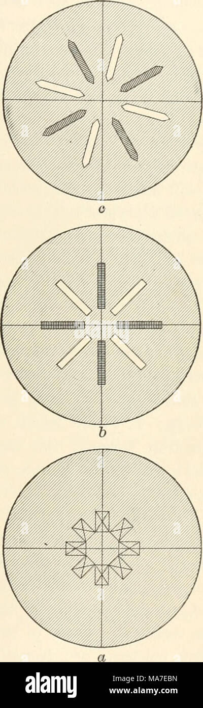 . Elementary chemical microscopy . Fig. 142. Isotropic and Anisotropic ...