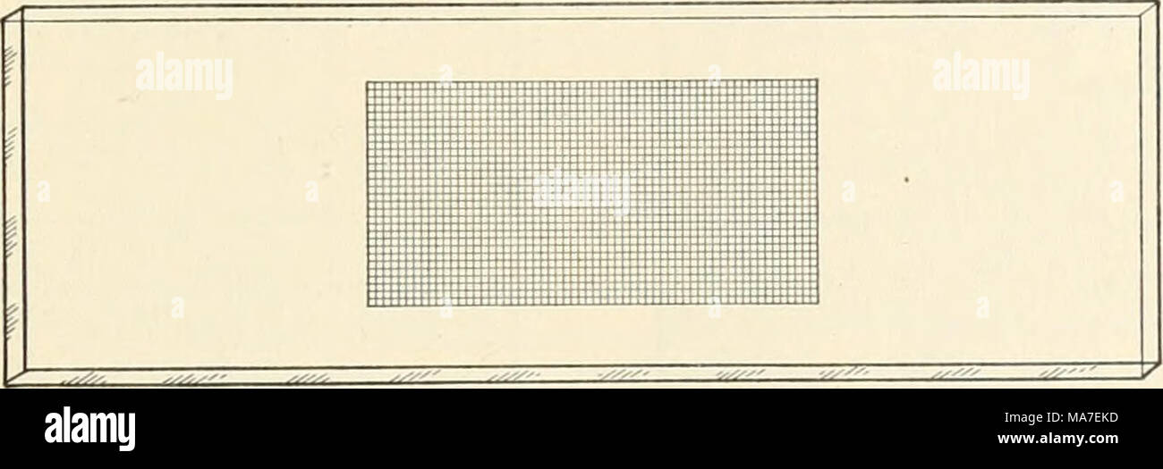 . Elementary chemical microscopy . Fig. 127. Object Slide Ruled in One ...