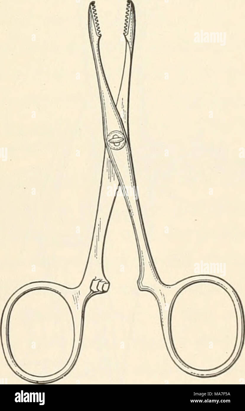 . Elementary chemical microscopy . Fig. 89. Surgical Compression ...