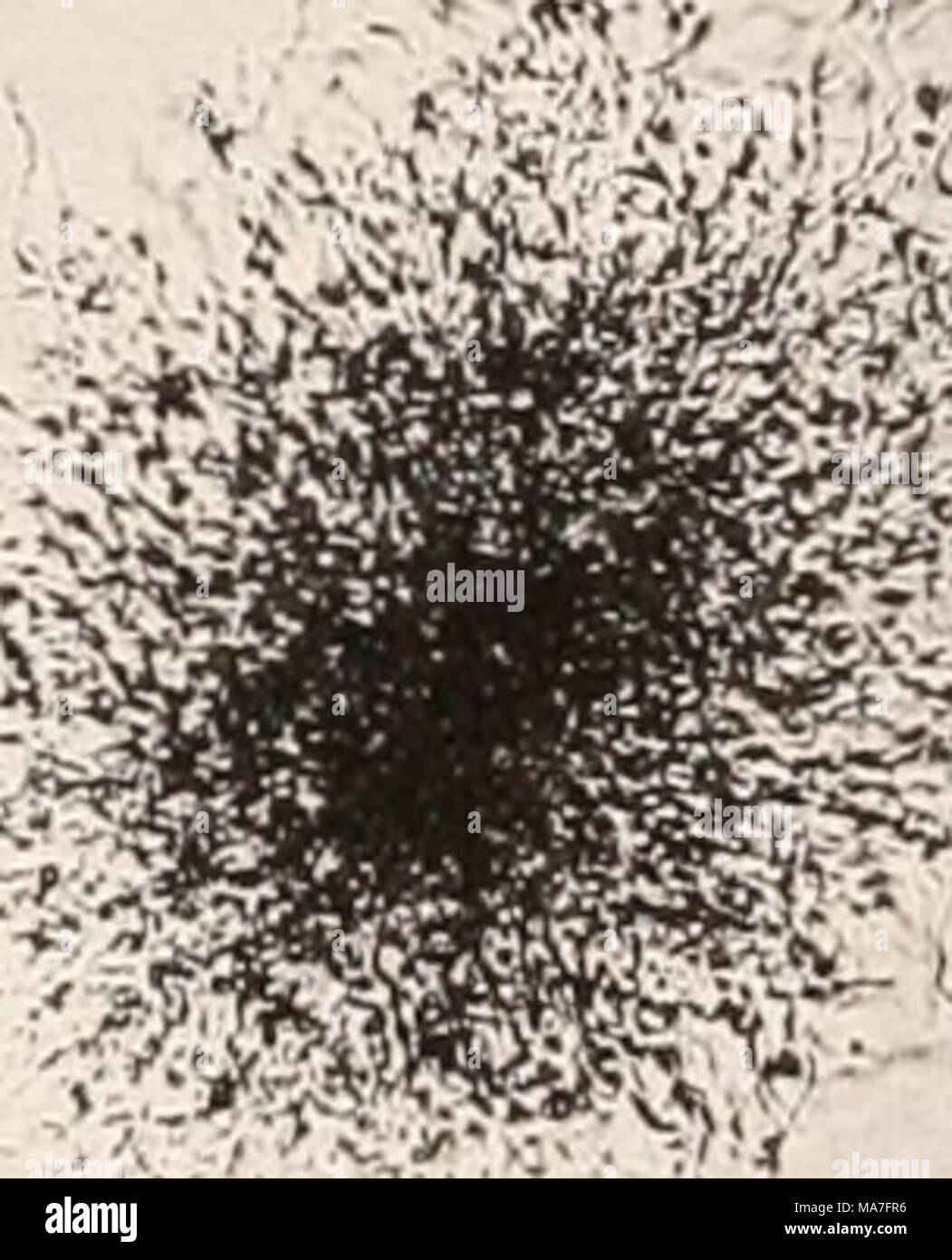 Aus alt berlin hi-res stock photography and images - Alamy