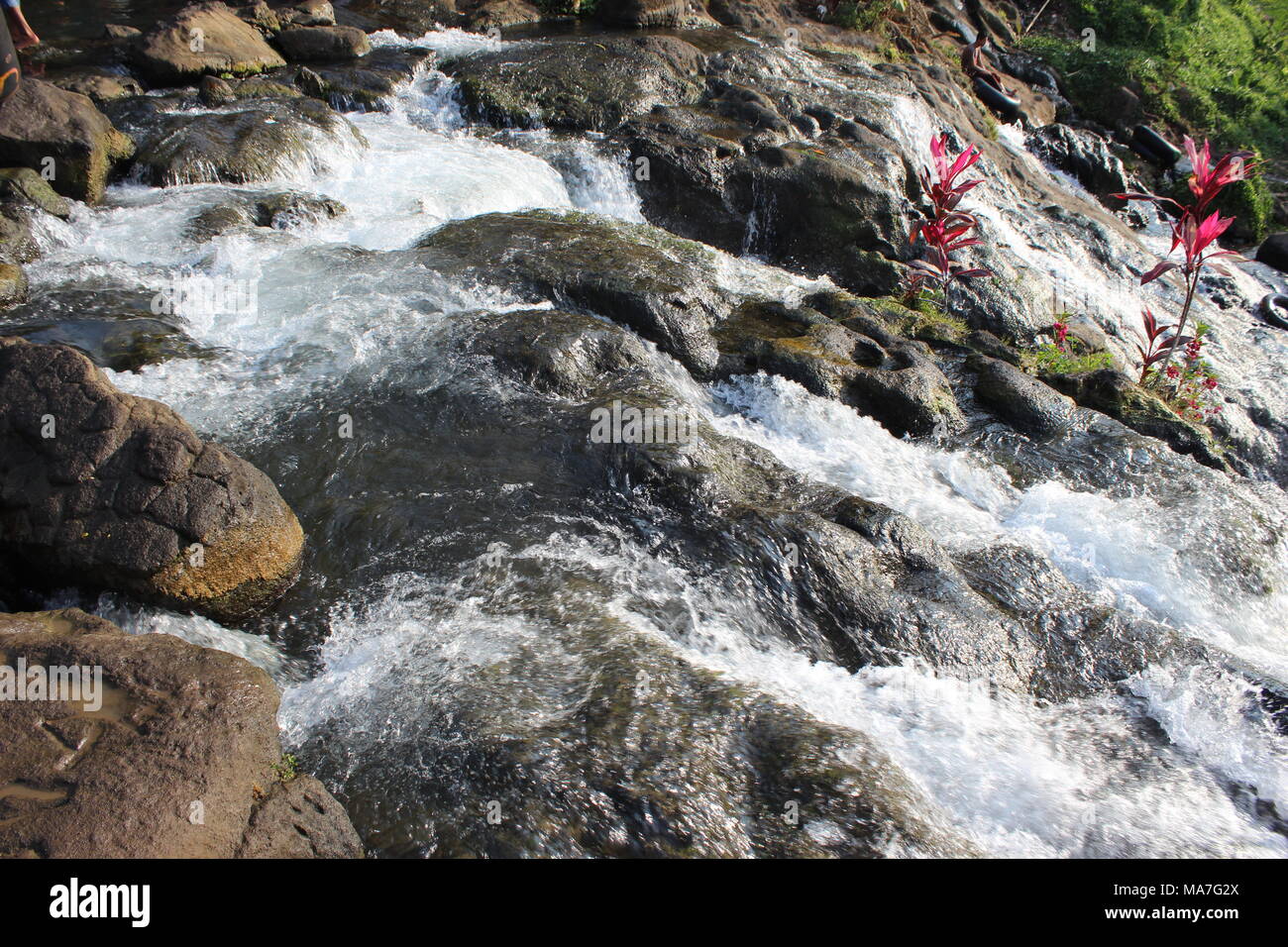 The flow of a small river on the edge of an unspoiled forest is ...