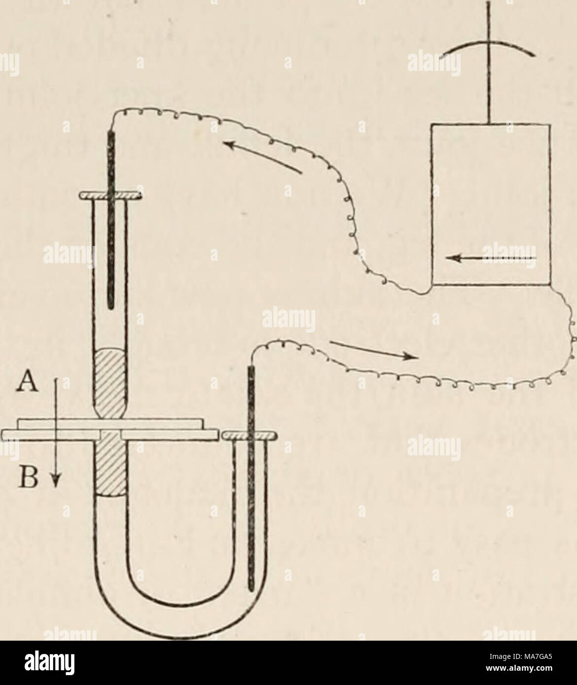 . Eight lectures on the signs of life from their electrical aspect ...