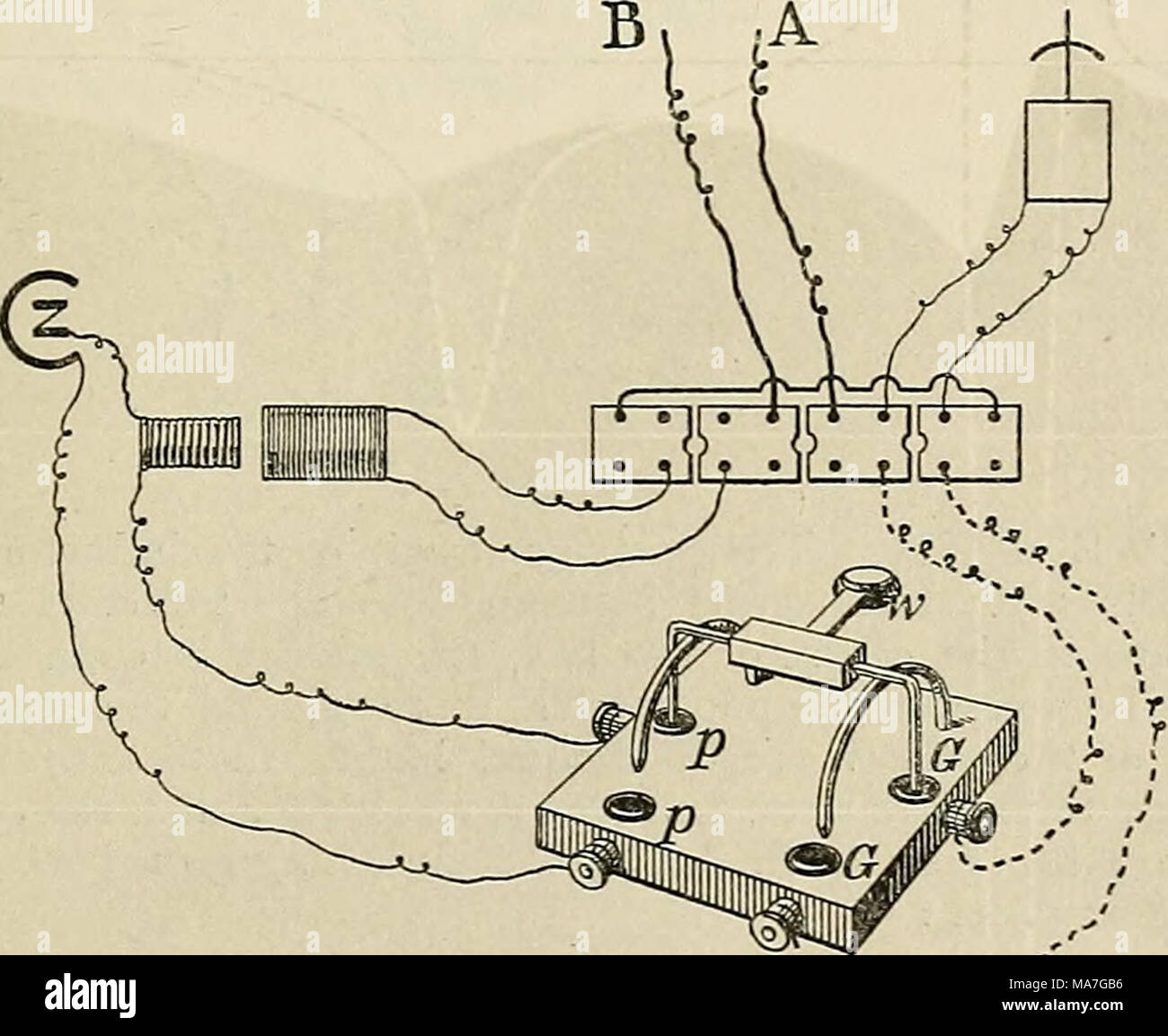 . Eight lectures on the signs of life from their electrical aspect ...