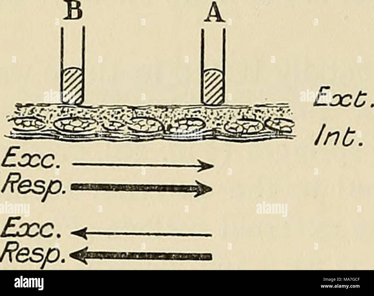 . Eight lectures on the signs of life from their electrical aspect ...