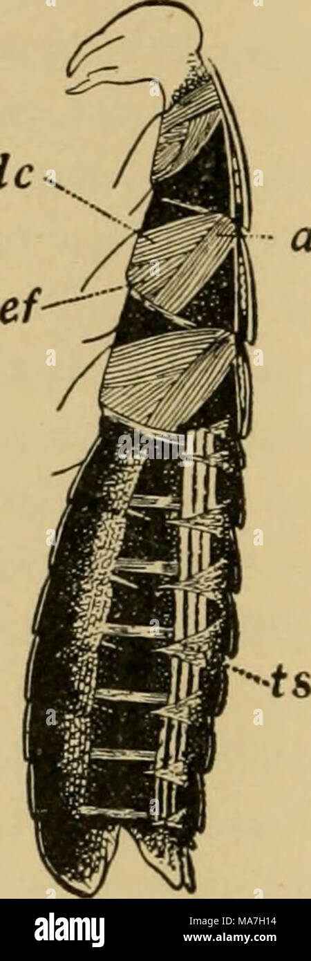 Miall hi-res stock photography and images - Alamy