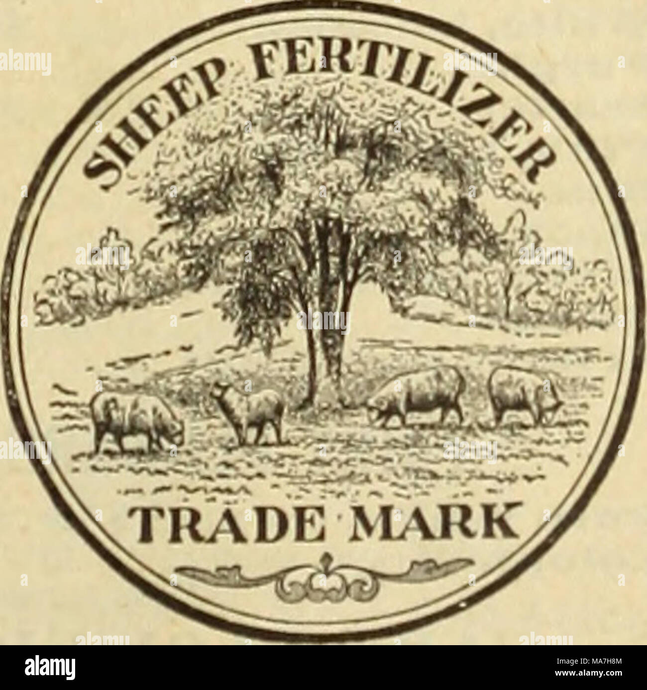 . E. H. Hunt's catalogue Stock Photo - Alamy