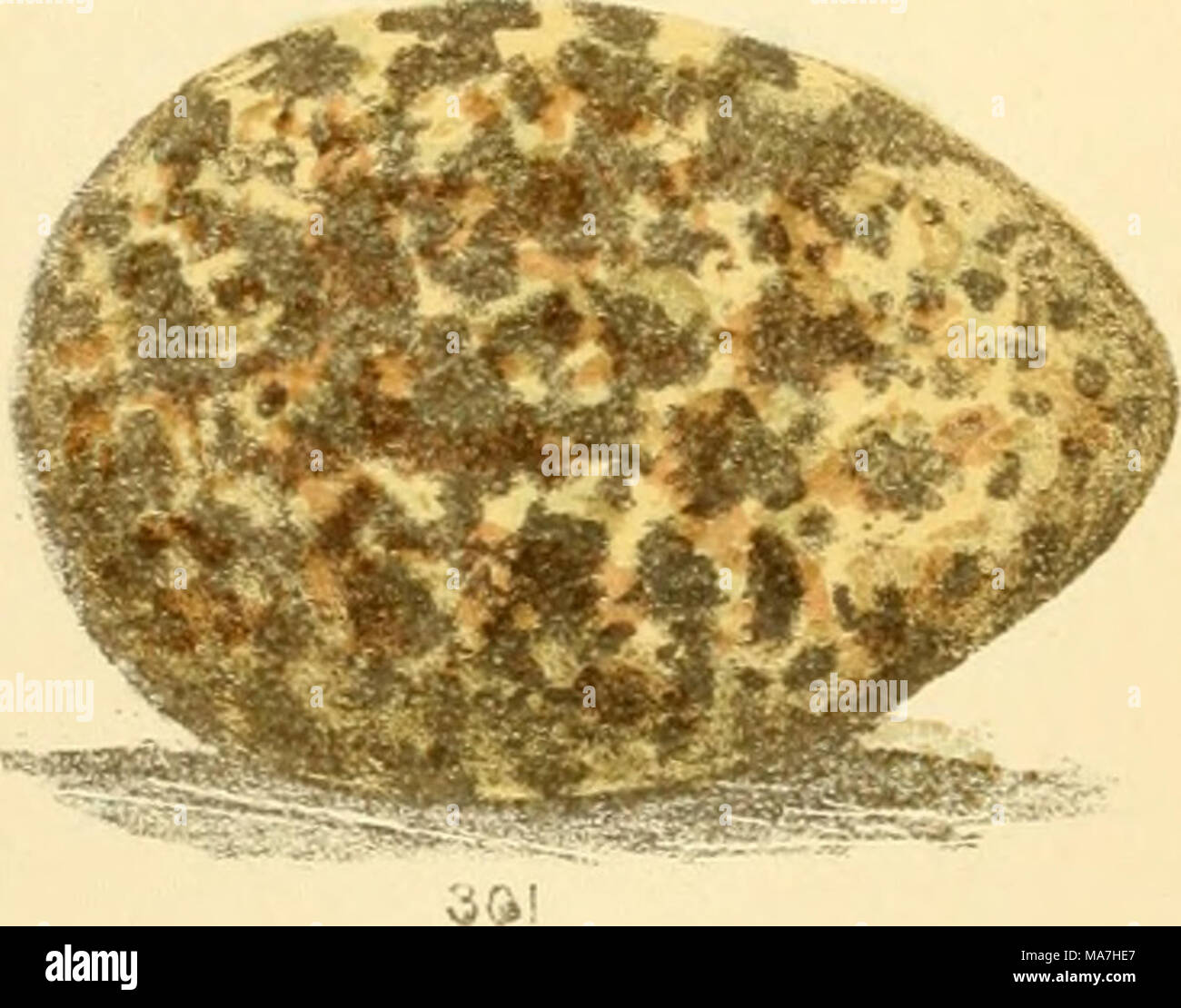 J rv hi-res stock photography and images - Alamy