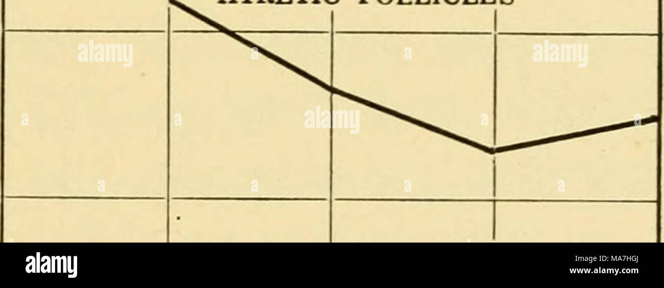 Pregnant Mouse Stages