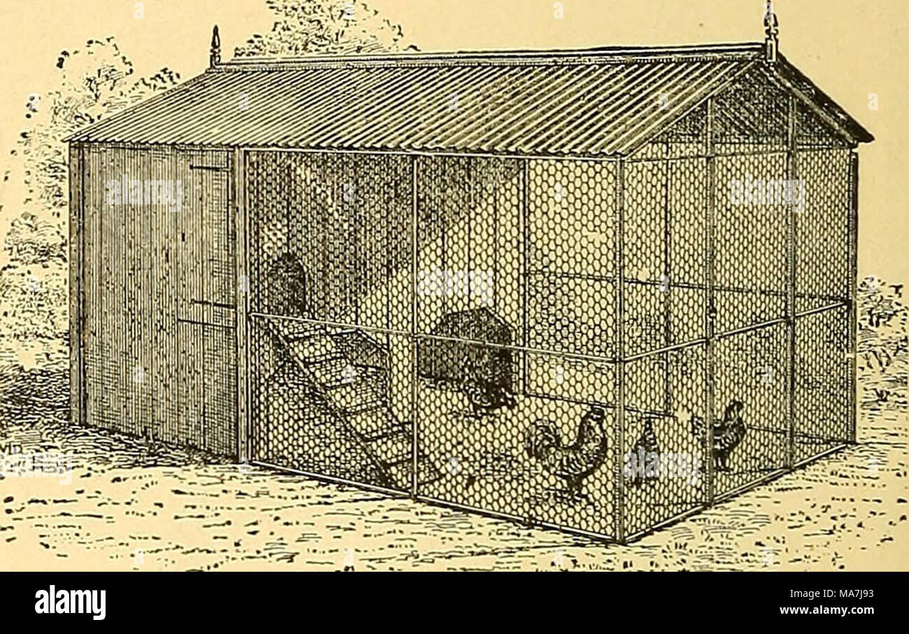 . Egg and poultry raising at home . - j&^s?-