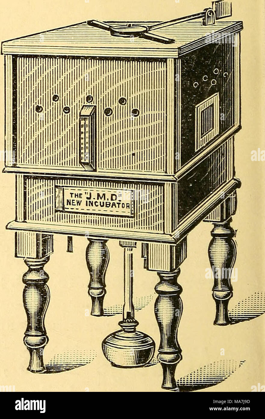 . Egg and poultry raising at home Stock Photo - Alamy