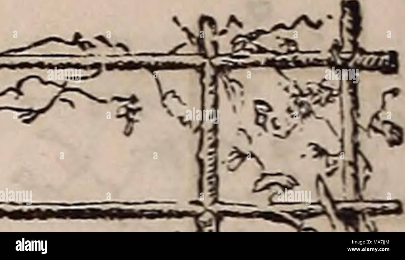 792 feet hi-res stock photography and images - Alamy