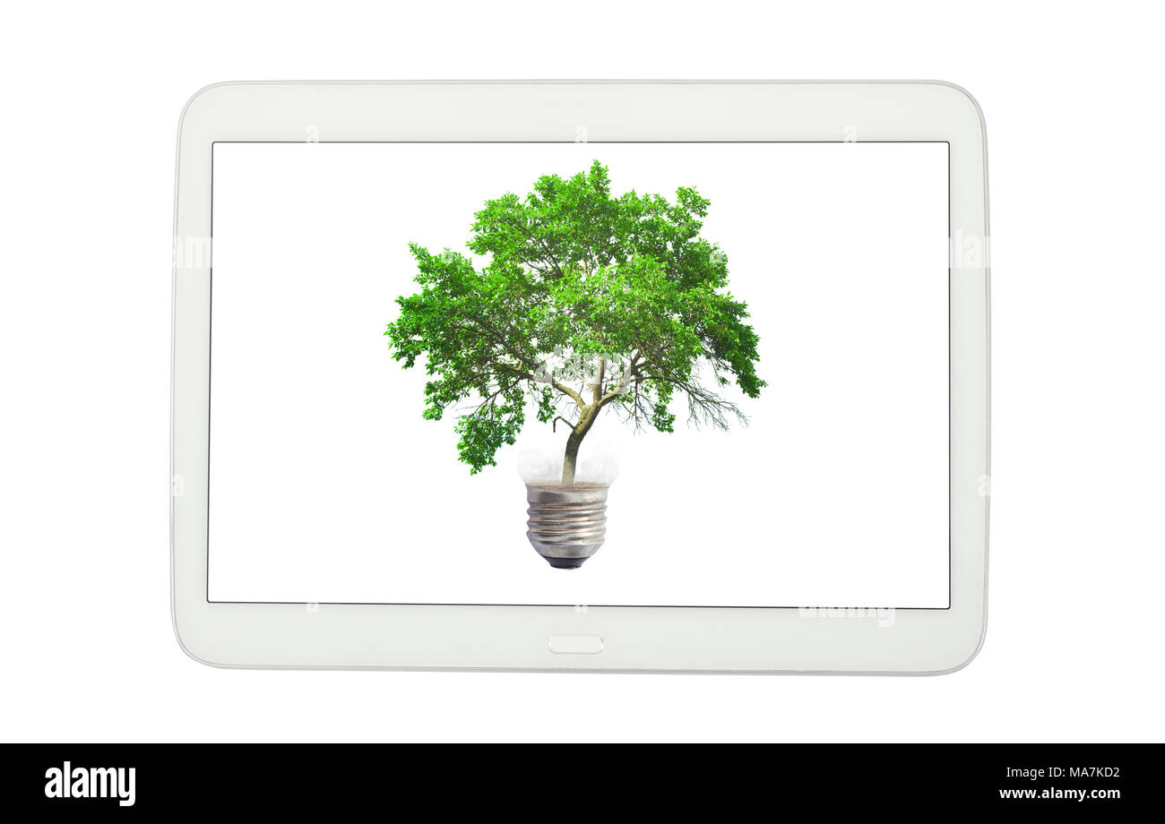 pc tablet and green tree in bulb isolated on white Stock Photo - Alamy