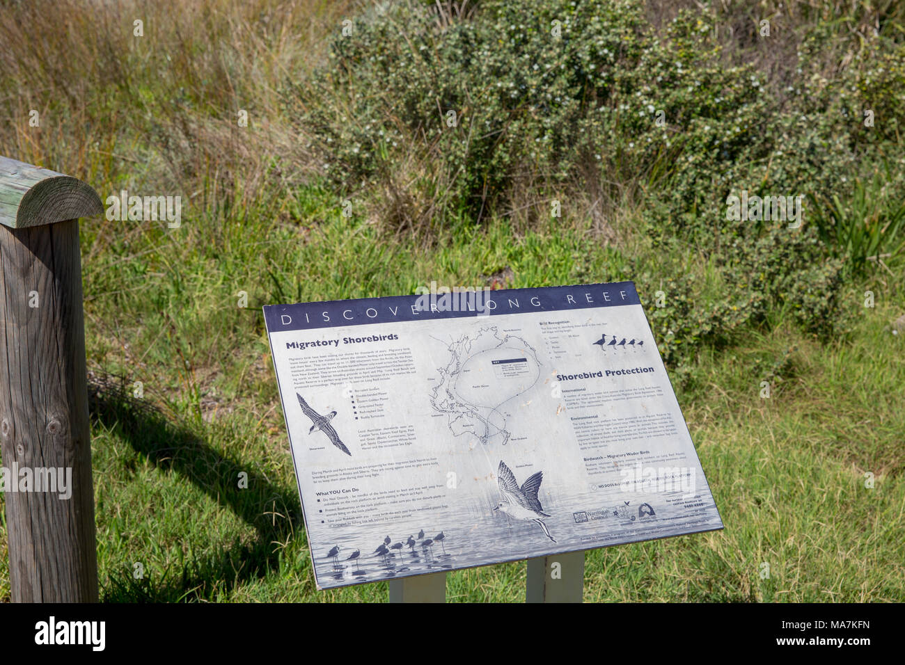 Long Reef point and aquatic reserve on Sydney northern beaches,New ...