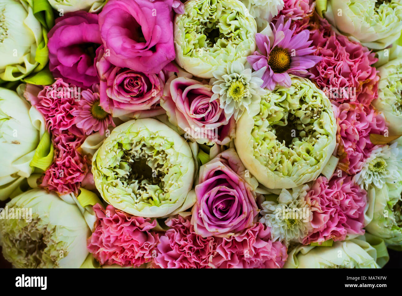 variety flower background Stock Photo - Alamy