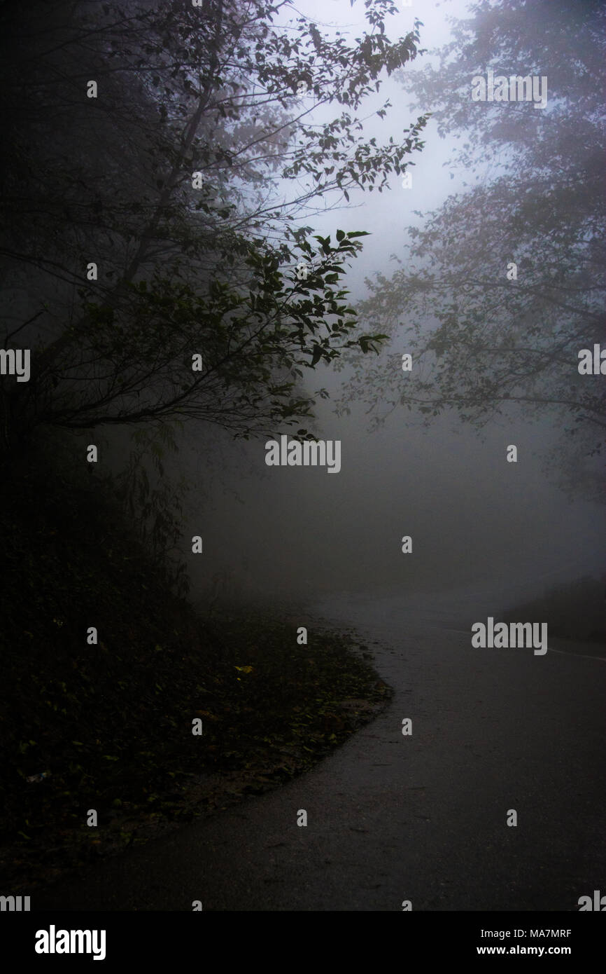 Wet dream hi-res stock photography and images - Alamy