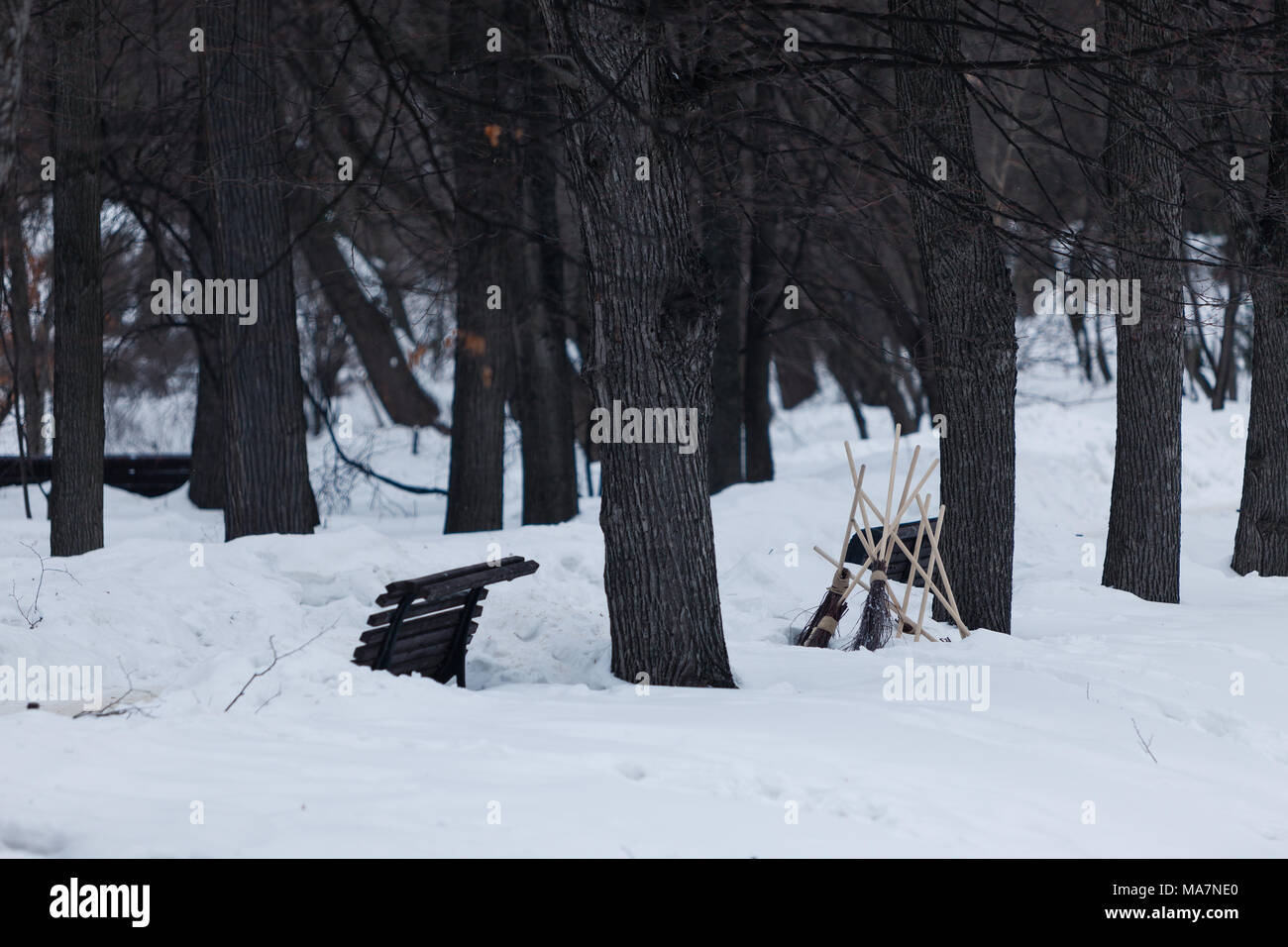 Wooden brooms stand in the form of a pyramid in the snow-covered park ...